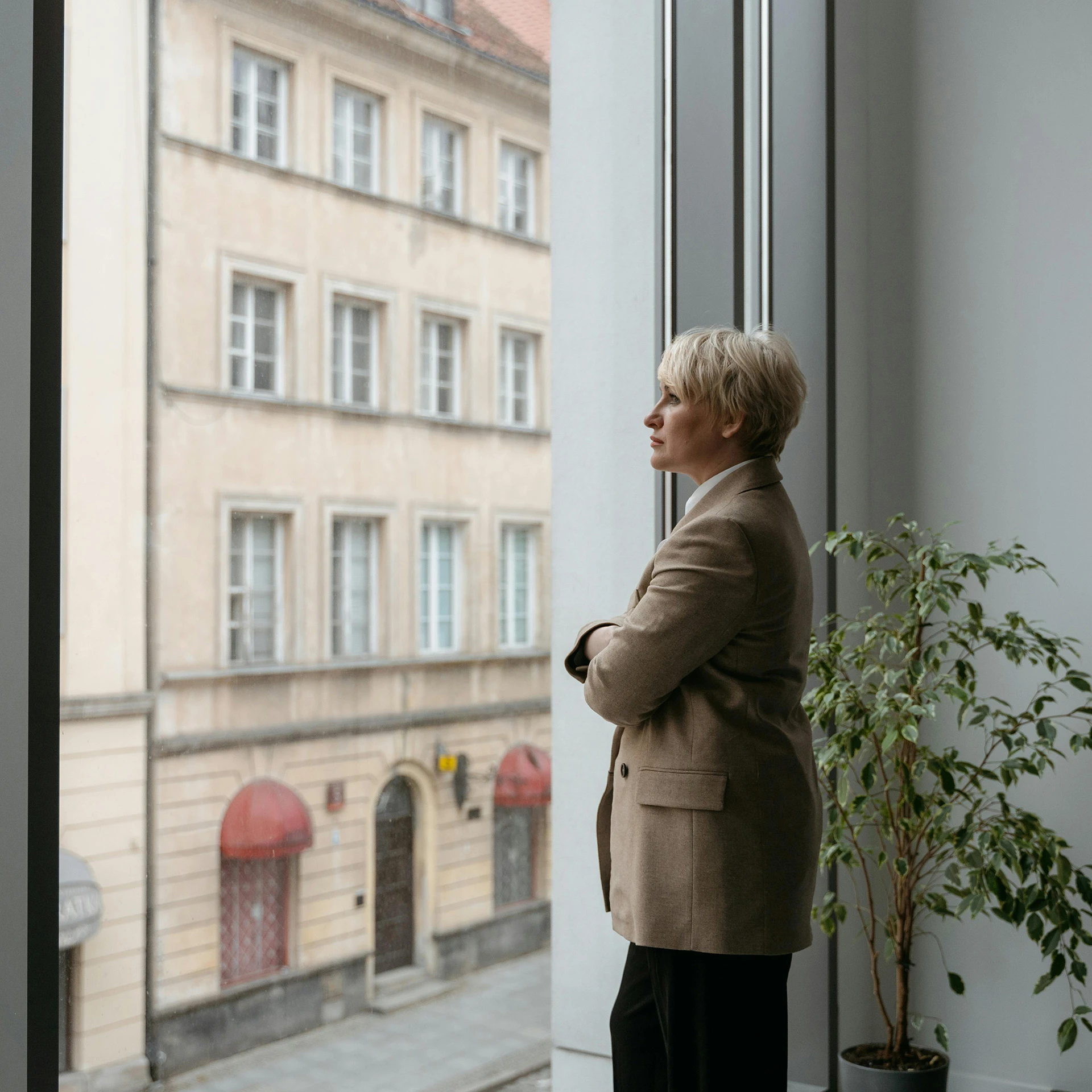 Partnership System - Santoip